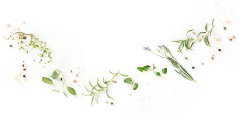 Fresh Express LLC | Premium Food Supplier in Dubai